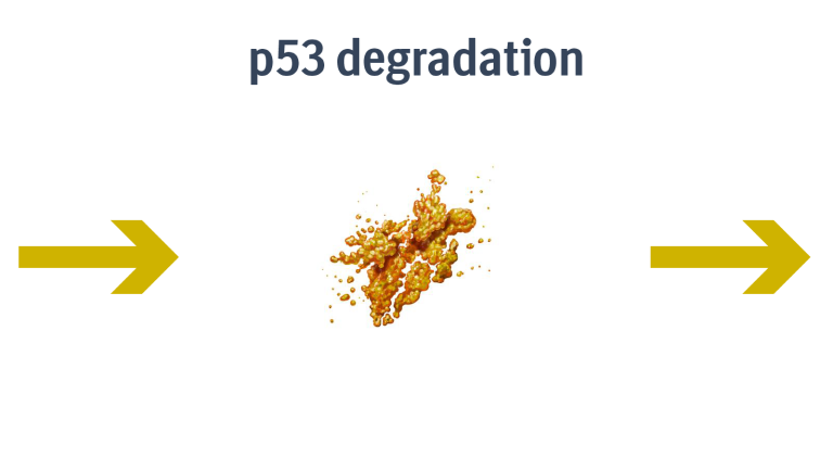MDM2-p53 Interaction in Dedifferentiated Liposarcoma (DDLPS)